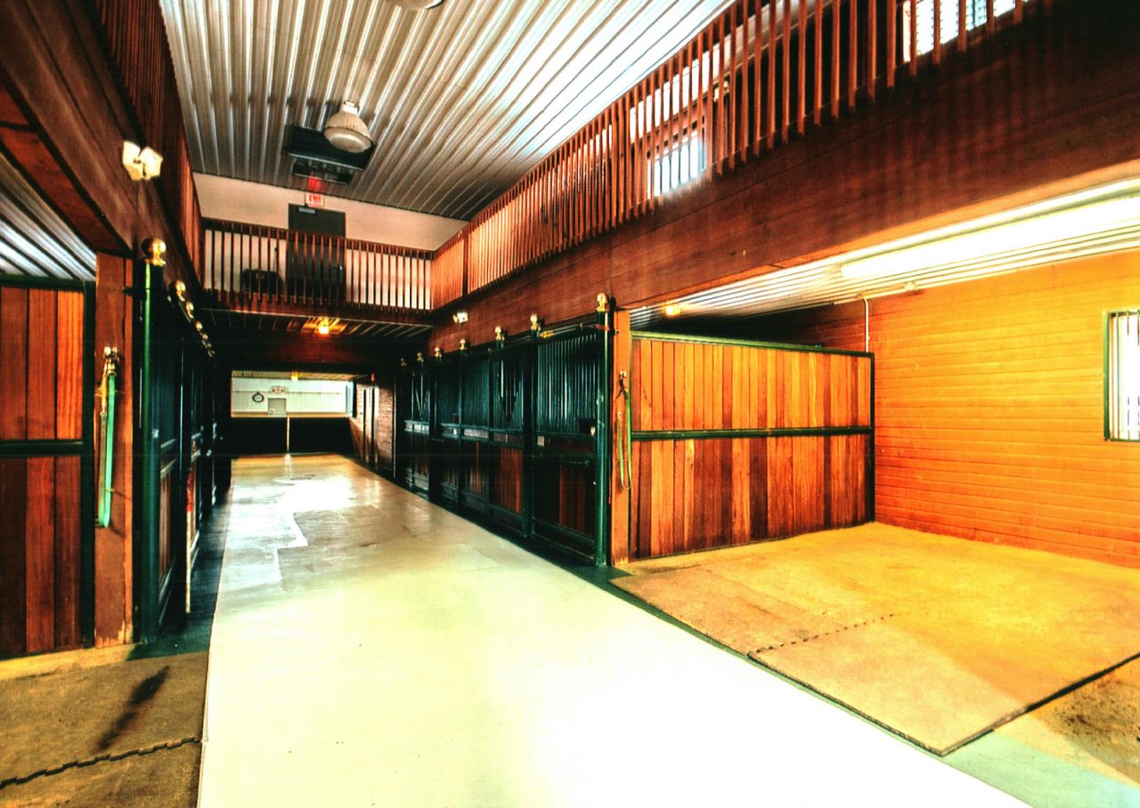 Our Facility - Renaissance Equestrian Center